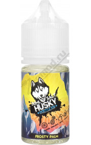 HUSKY Double Ice SALT Frosty Palm 30
